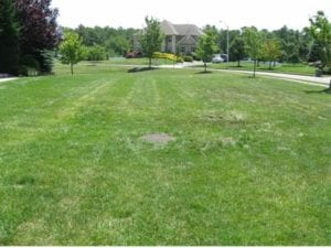 Septic Field Restoration NJ | Statewide Environmental Services